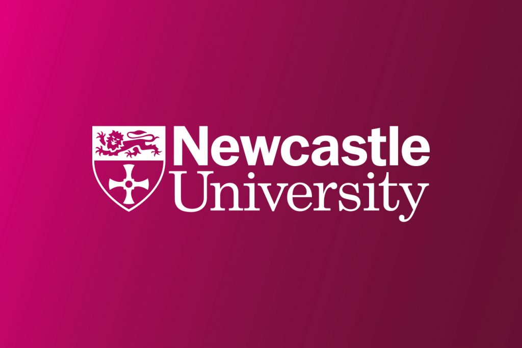 Perro | Brand, Design, Digital, Consultancy